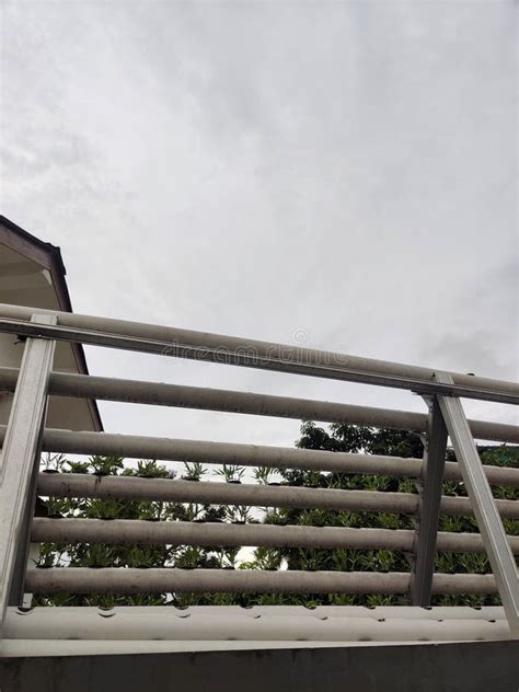 Hydroponic Growing Media Stock Image Image Of Growing 266562497