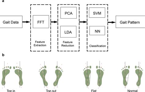 a diagram of the gait recognition algorithm b gait pattern for