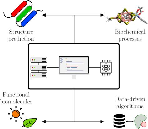 Quantum Computing For Molecular Biology Baiardi 2023