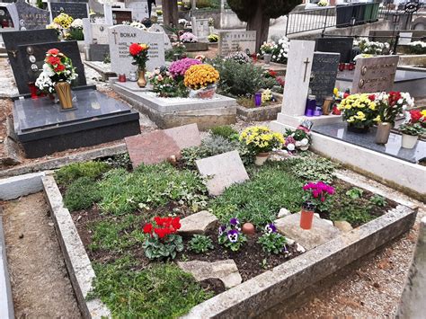 Vlado Šav Slovenski Grobovi