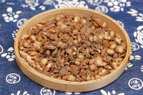 血参根高清图示中药材素材图片中药材大全高清图片素材