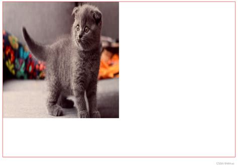 【html5】10 canvas画布（2） html绘制矩形 csdn博客