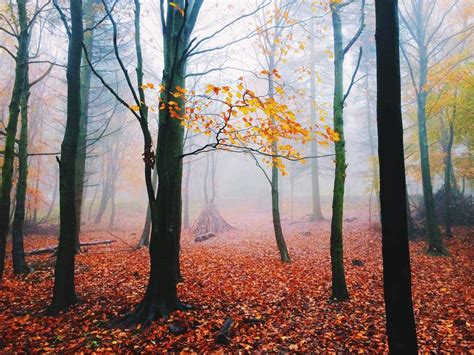 How Daniel Casson Takes Great Iphone Landscapes Photos