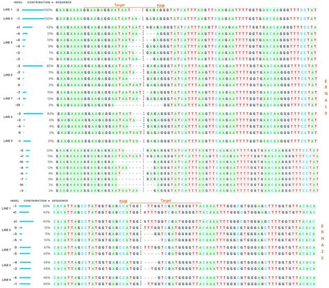 Analysis Of Genome Editing Event Using Sanger Sequencing Data With Download Scientific Diagram Analysis Of Genome Editing Event Using Sanger Sequencing Data With Download Scientific Diagram