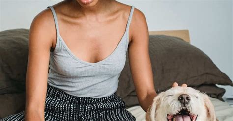 Best Computer Sales Advertisement Samples 2026 Froggy