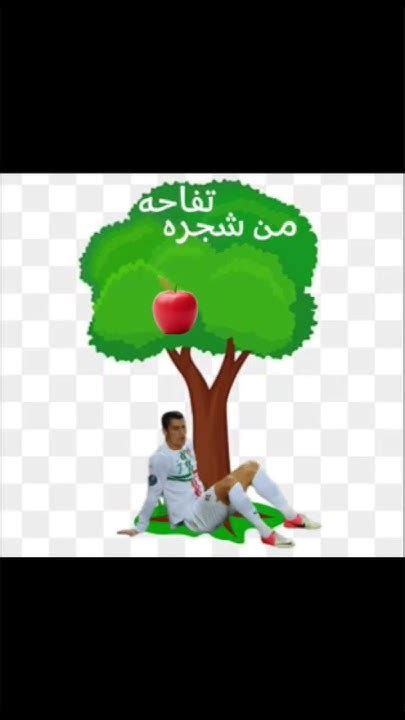 نيوتن حمار Youtube