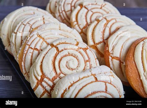 Vanilla White Concha Frosting With Sea Shell Pattern Mexican Sweet