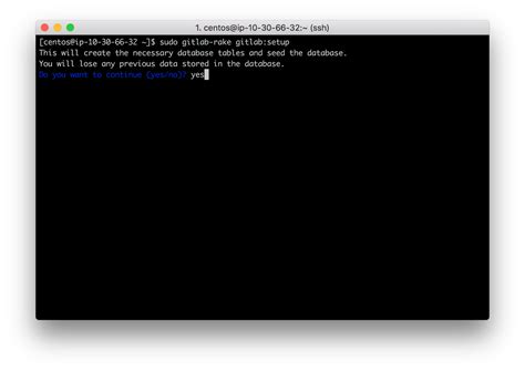 Automating Running Gitlab On Aws With Terraform Packer And Ansible