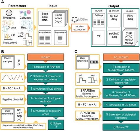 Mosim Bulk And Single Cell Multilayer Regulatory Network Simulator Mosim Bulk And Single Cell Multilayer Regulatory Network Simulator