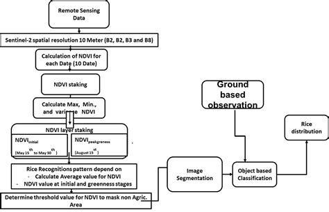 Integrated Method For Rice Cultivation Monitoring Using Sentinel 2 Data And Leaf Area Index V1