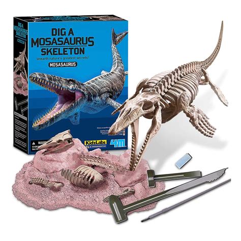 Buy 4m Dig A Mosasaurus Skeleton