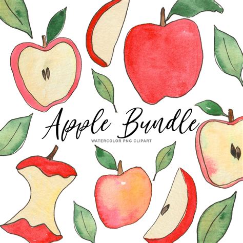 Watercolor Apple Clip Art Bundle Downloadable Printable Png Fall