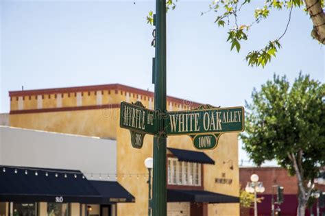 A Light Post With Myrtle Avenue And White Oak Alley Street Signs