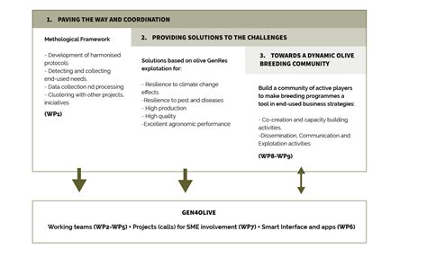 PROJECT METHODOLOGY GEN4OLIVE BRINGING OLIVE GENETIC RESOURCES CLOSER TO BREEDERS AND GROWERS