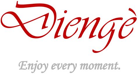 Contact Us Dienge