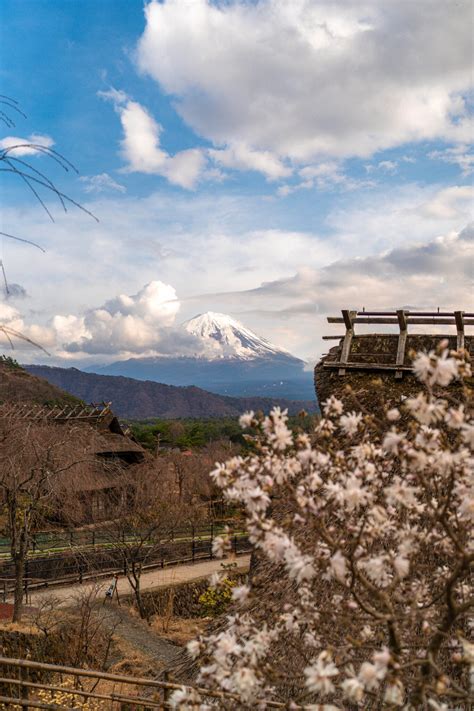 2 Days in Mount Fuji Itinerary: Beautiful Views and Hidden Gems