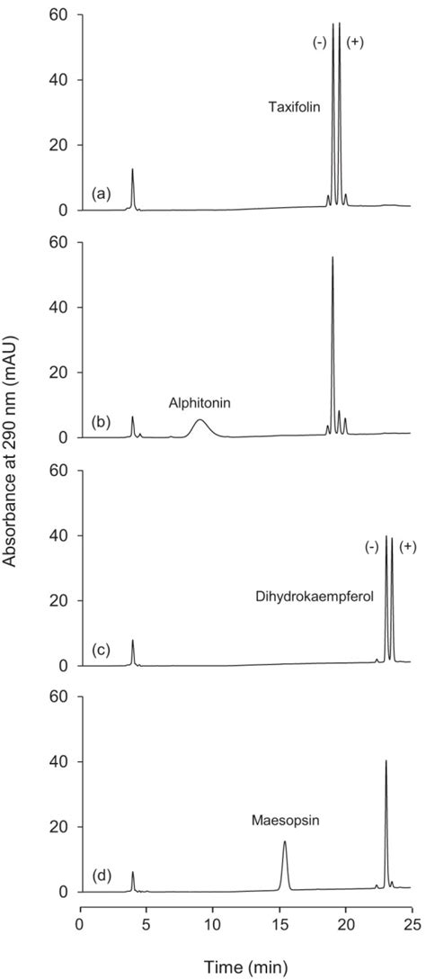 Chalcone Isomerase From Eubacterium Ramulus Catalyzes The Ring