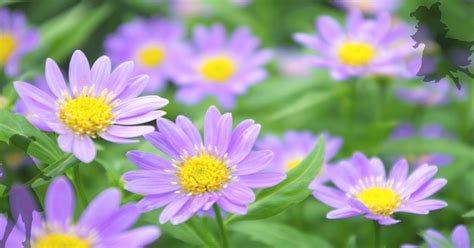 🌹オンラインサロン「roriasroom」～2024年10月リニューアル～🌹（9 18更新あり）｜rorias Moonroom