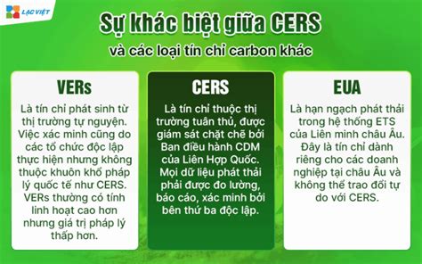 Cers Là Gì Toàn Diện Về Chứng Chỉ Giảm Phát Thải Cers Cho Doanh Nghiệp