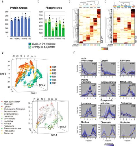 Spatial Proteomics Reveals Phospho Signaling Dynamics At Subcellular Resolution Pmc