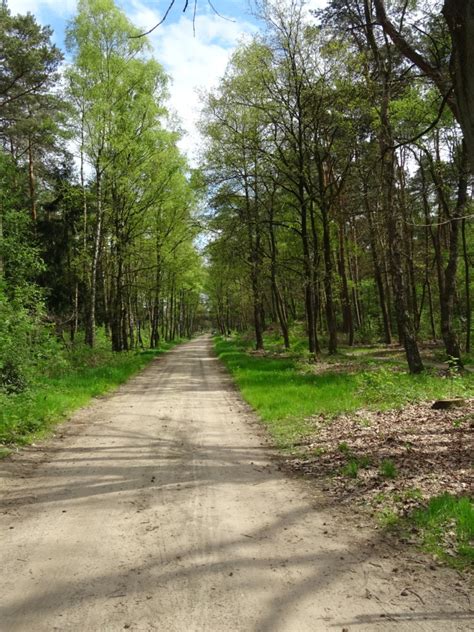 De Roek Routes De Roek Vakantiebungalows