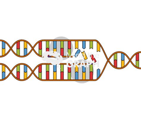 Free Dna Replication Fork Icons Symbols Pictures And Images Mind