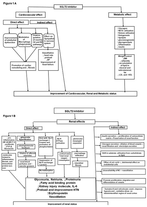 Update On The Use Of Sodium Glucose Cotransporter Type 2 Inhibitors In