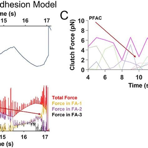 Pfac Dynamics Left The Pfa Model Exhibits Rescue Events That Prolong Download Scientific