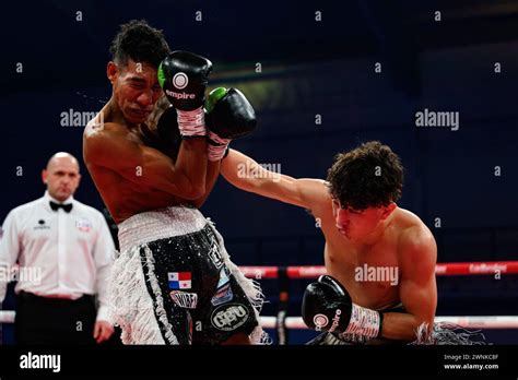 London United Kingdom 01 Mar 2024 Tom Welland Vs Esteban Featherweight Bout During