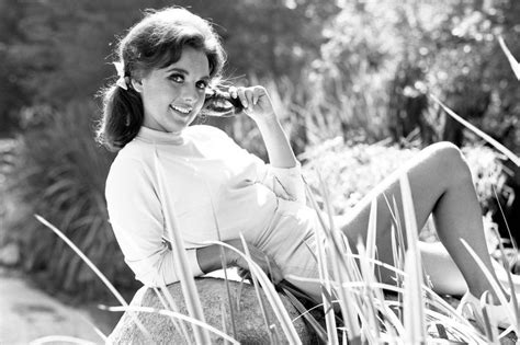 Dawn Wells Net Worth What She Left Behind In 2020 Ceocolumn