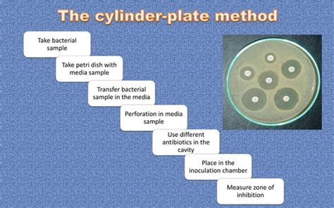 Microbiological Assay Of Antibiotics Pptx Chemistry Science