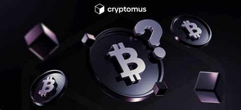 Bitcoin For Dummies Bitcoin Guide