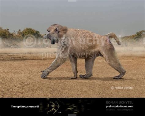 Theropithecus Oswaldi Extinct Animals Prehistoric Wildlife Ancient