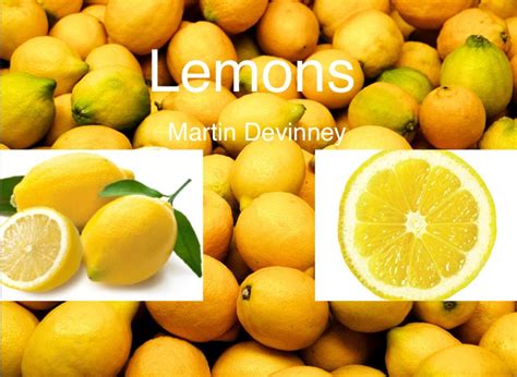 Lemons Marty Devinney On Flowvella Presentation Software For Mac Ipad