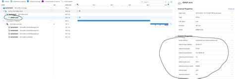 Prototype Networkpeerlocal Semconv In A More Esoteric Networking Instrumentation · Issue