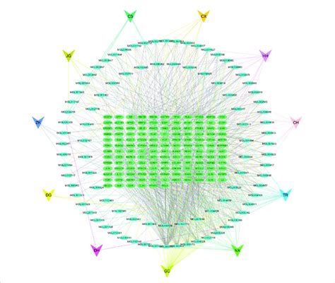 Active Ingredient Active Target Network Diagram Of Xuefu Zhuyu