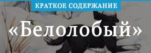 «Белолобый» краткое содержание рассказа Чехова – читать пересказ онлайн