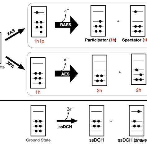 Schematic Representation Of The Auger Meitner Raes And Aes And Download Scientific Diagram