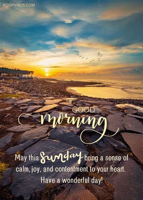 50 Best Good Morning Sunday Wishes Images And Quotes Roopvibes