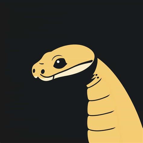 Normal Ball Python Morph