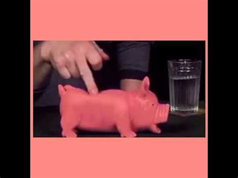 Звук свиньи гоблина - YouTube