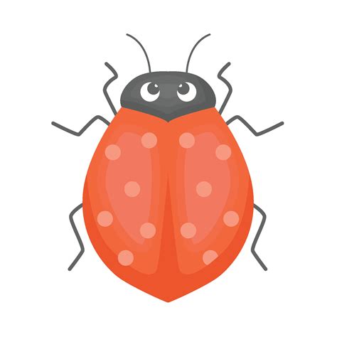 Illustration Of Bug 41003530 Vector Art At Vecteezy
