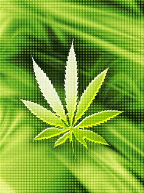 Download Weed Leaf In Abstract Square Pattern Wallpaper