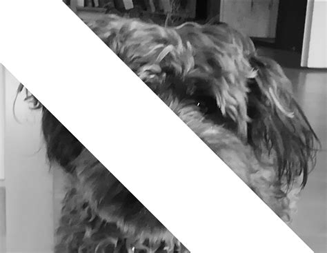 Python Im Trying To Make A Circle In My Array Image But It Turns Into A Line Stack Overflow