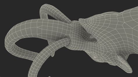 Mammoth Roar Pose 3d Model 149 3ds Blend C4d Fbx Max Ma Lxo