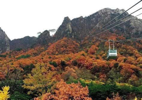 6 9 Days Korea Autumn Itinerary Koreatodo