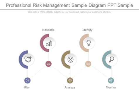 Professional Risk Management Sample Diagram Ppt Sample