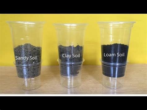 2 Types Of Soil Water Flow And Absorption Test Sand Loam And