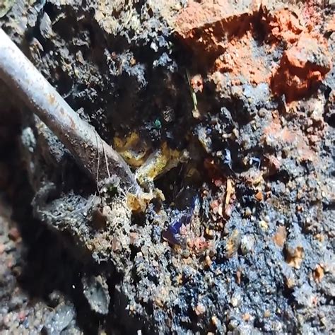 A Golden Ball Appeared In The Dark Cave Mining Gems Diamonds Gold