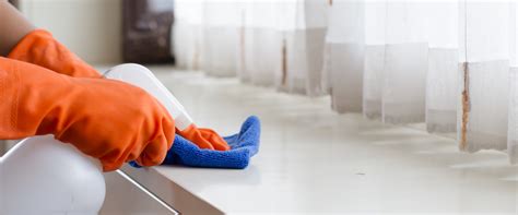 Do Bed Bugs Hate The Smell Of Bleach